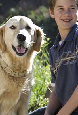 Travesura de perro (Película) | Programación de TV en Colombia | mi.tv