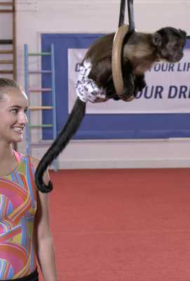 Gibby (Película) | Programación de TV en Argentina | mi.tv